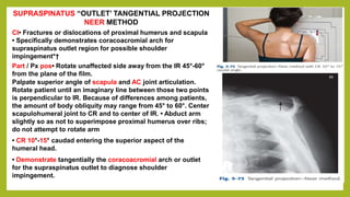 (4-M) 301 - A Shoulder to Clavicle.pptx