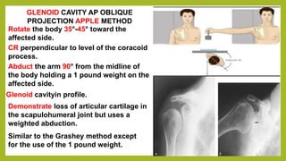 (4-M) 301 - A Shoulder to Clavicle.pptx