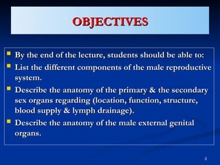 4- Male Pelvic Organs POWER POINT PRESENTATION | PPT