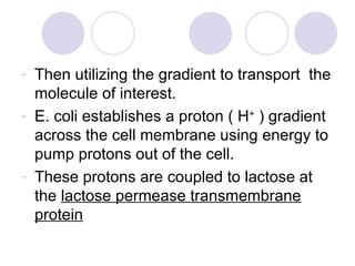 4. membrane transport 1 | PPT