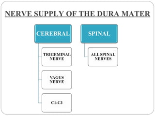 Meninges,dural venous sinuses by DR.TATHEER (part 1) | PPT