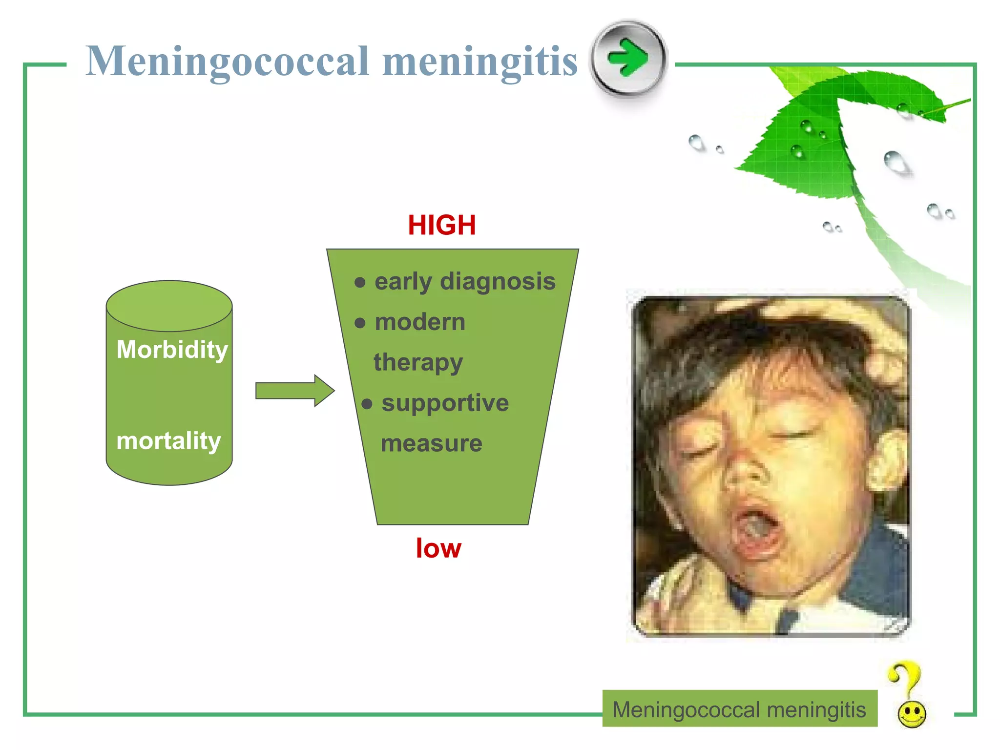 4 Meningococcal Meningitis | PPT