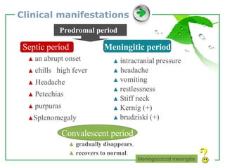 4 Meningococcal Meningitis | PPT