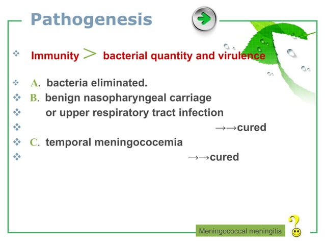 4 Meningococcal Meningitis | PPT