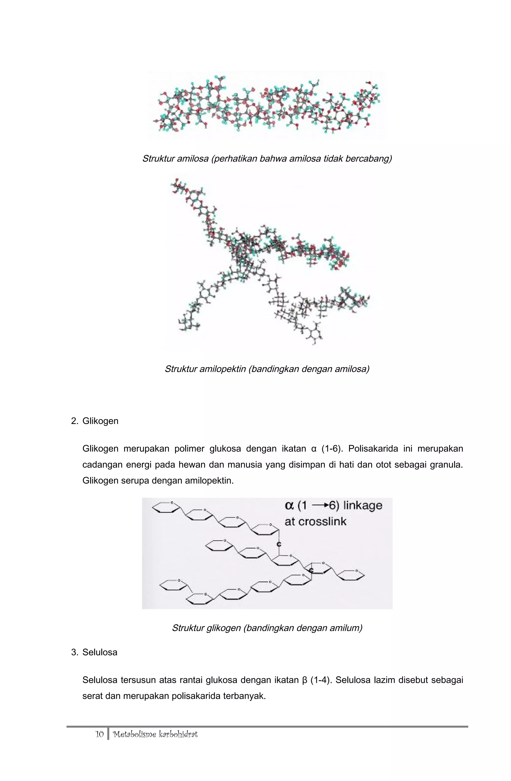 4 metabolisme karbohidrat | DOC