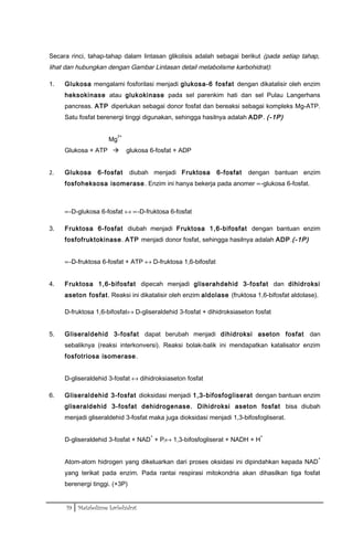 4 metabolisme karbohidrat | DOC