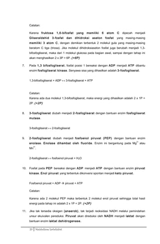 4 metabolisme karbohidrat | DOC