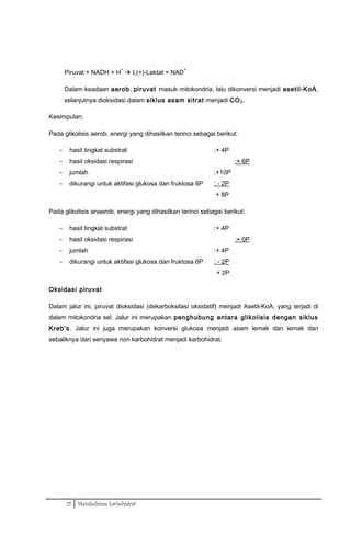 4 metabolisme karbohidrat | DOC