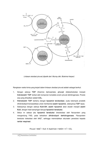 4 metabolisme karbohidrat | DOC