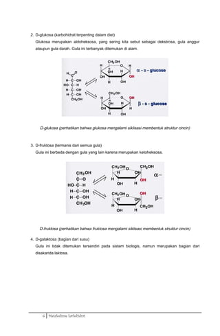 4 metabolisme karbohidrat | DOC