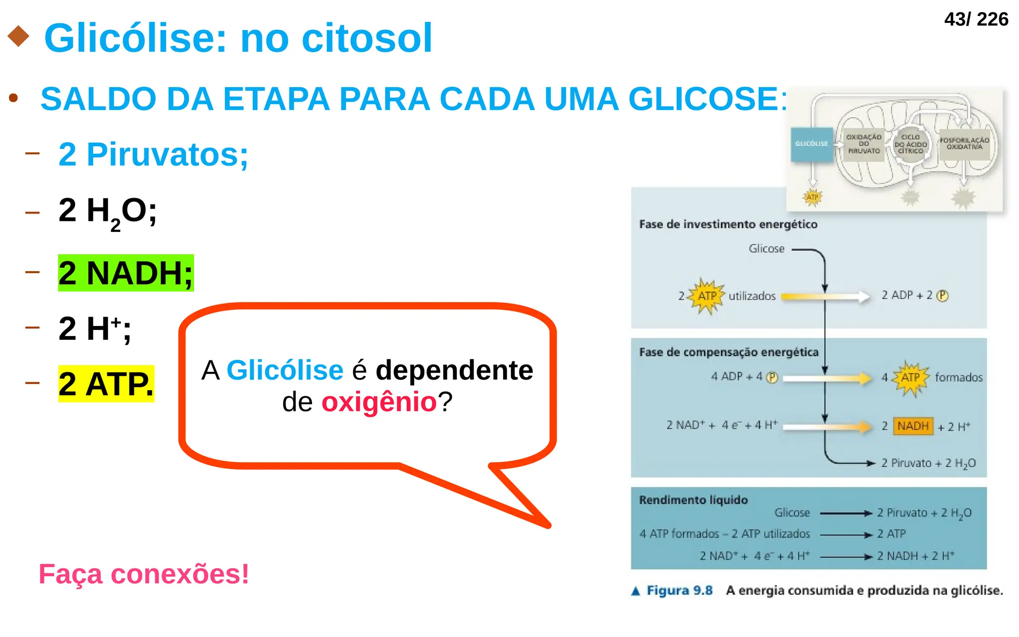 Metabolismo Celular, Respiração Celular aeróbia e anaeróbia.pdf