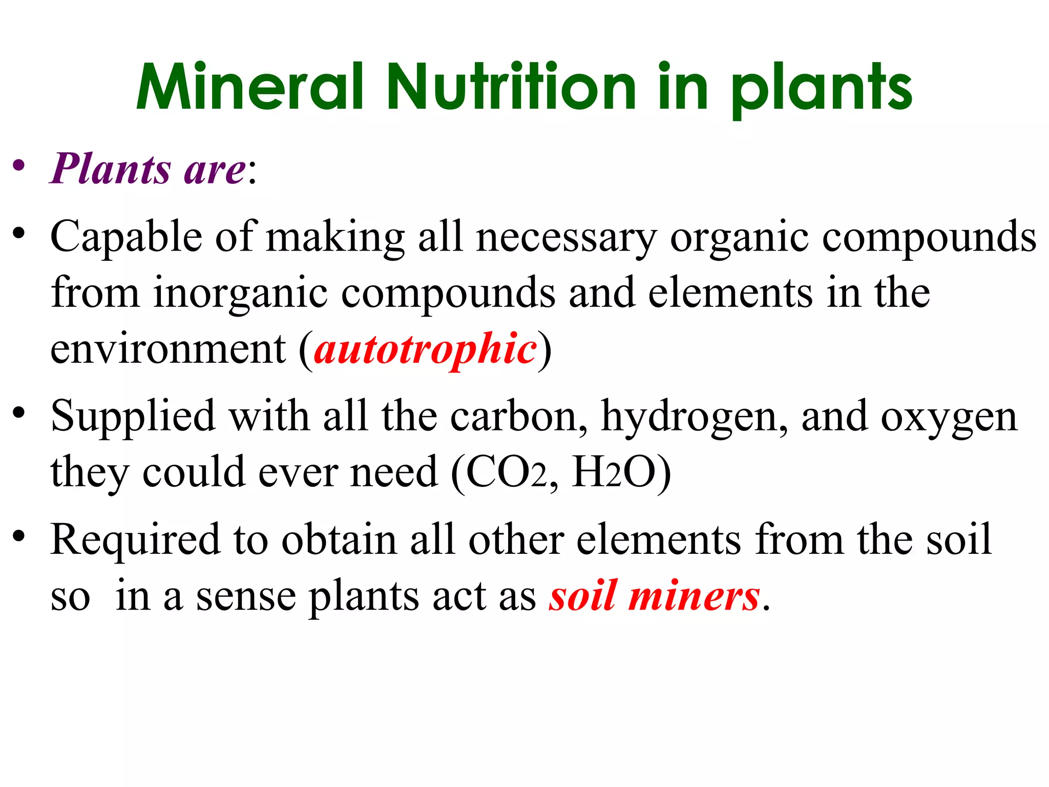 4 mineral nutrition | PPT