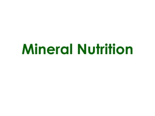 4 mineral nutrition | PPT