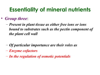 4 mineral nutrition | PPT