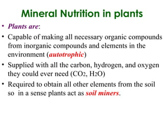4 mineral nutrition | PPT