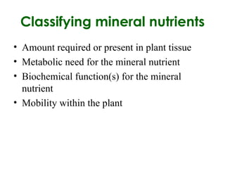 4 mineral nutrition | PPT