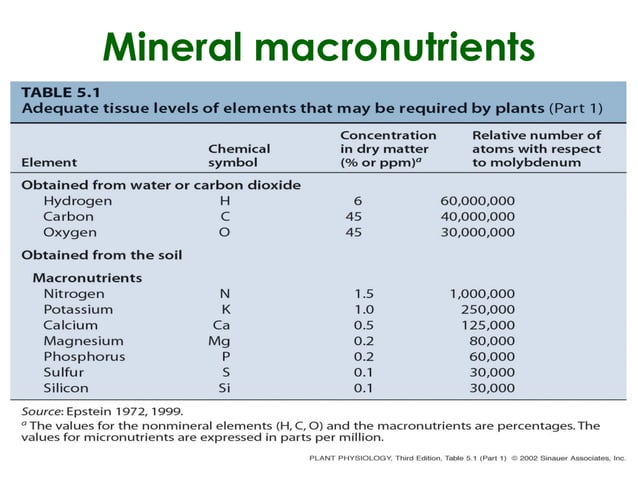 4 mineral nutrition | PPT | Agriculture | Industries