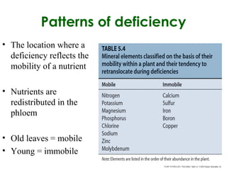 4 mineral nutrition | PPT