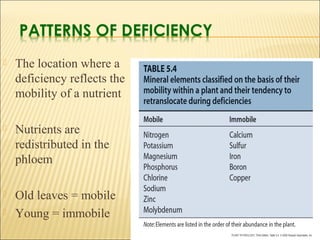 4 mineral nutrition by dilip kumar chandra | PPT