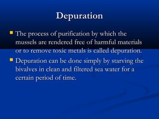 4...molluscan aquaculture | PPT
