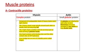 muscle physiology including the structure of skeletal muscles | PPTX