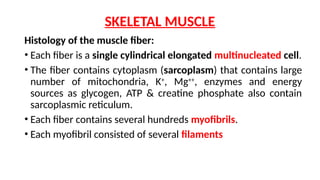 muscle physiology including the structure of skeletal muscles | PPTX