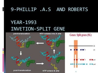 noble prize winners in field of Genetics and plant breeding | PPTX