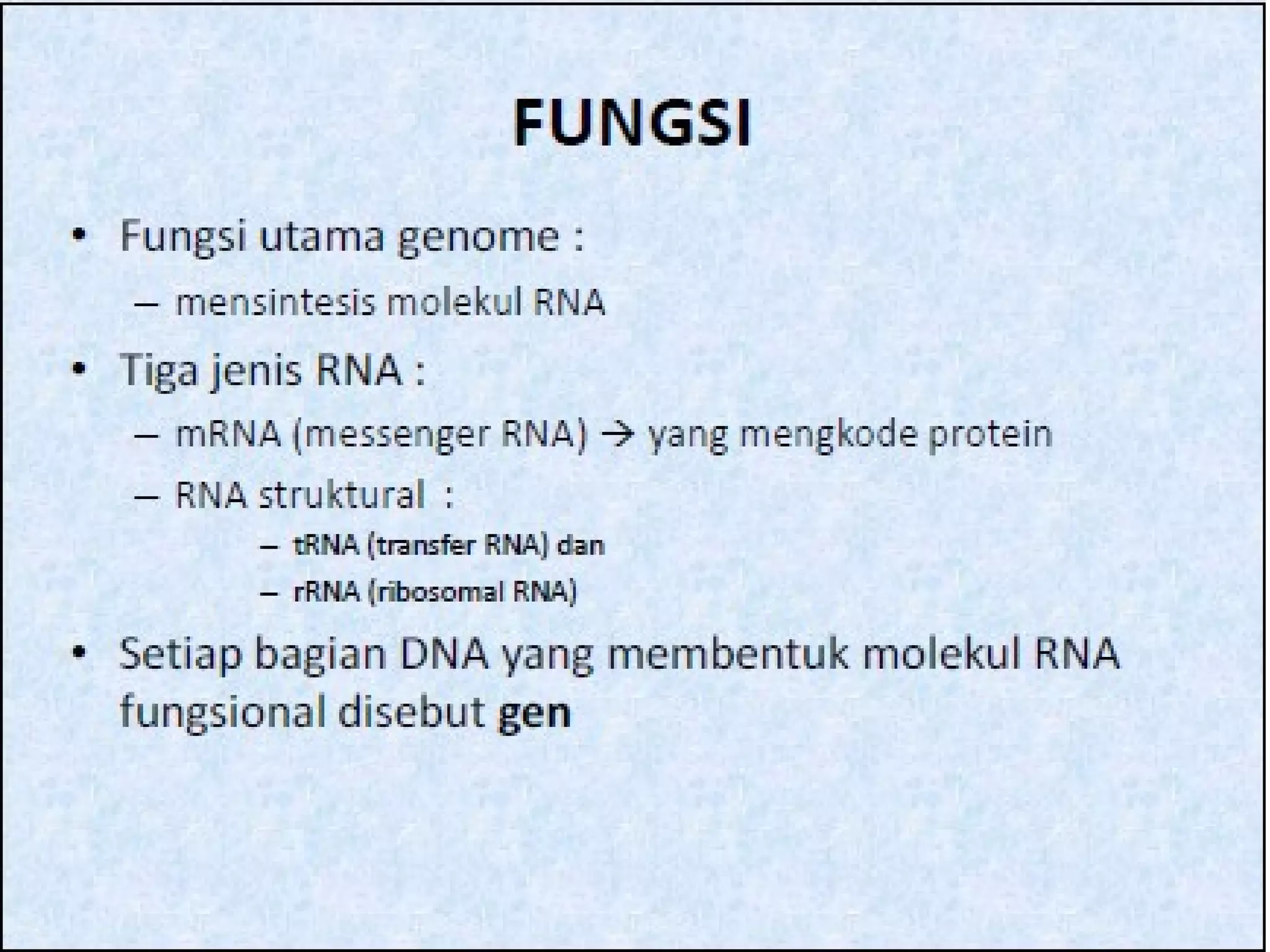 4. nukleus | PPT