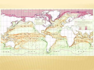 4. Ocean Current Notes | PPT