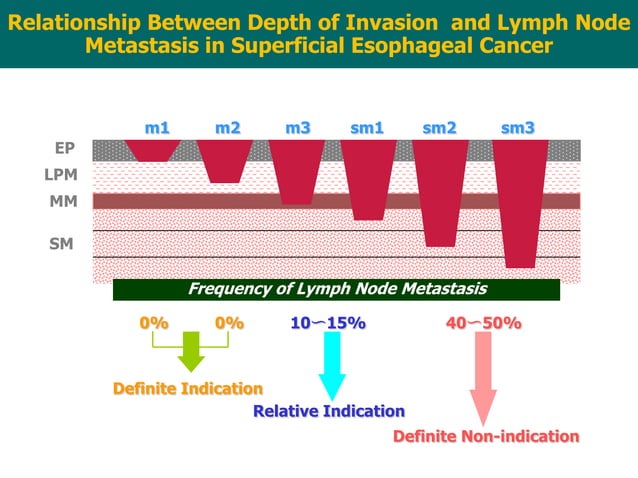 Endoscopy in Gastrointestinal Oncology - Slide 4 - I. Oda - Esophageal ...