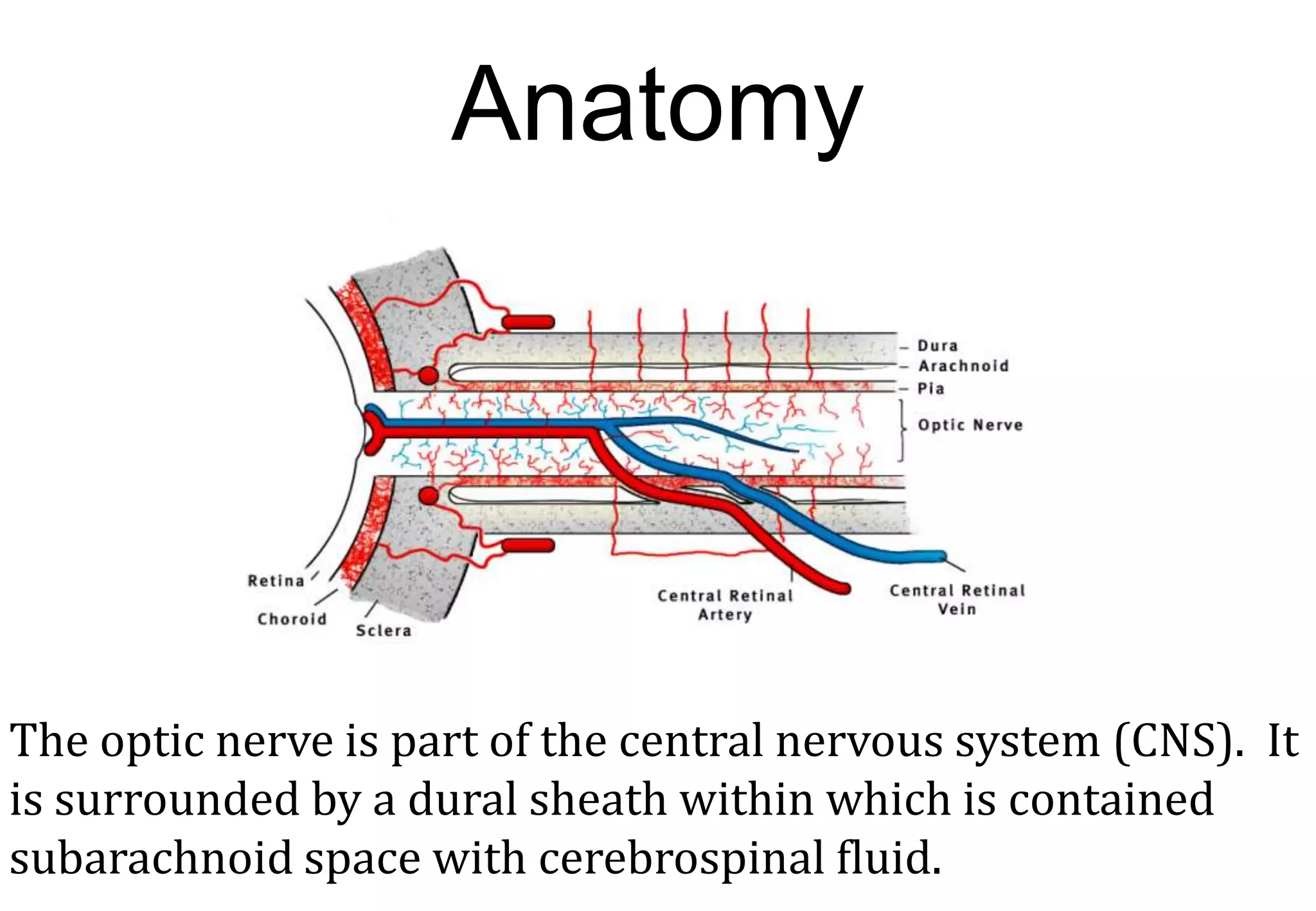 Ocular Ultrasound for raised ICP | PPTX