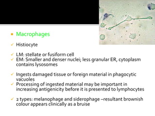 oral mucous membrane | PPTX