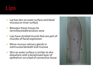 oral mucous membrane | PPTX