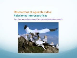 4. organismo ambiente y sus int ppt | PPT