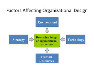 4. organizational structure | PPT