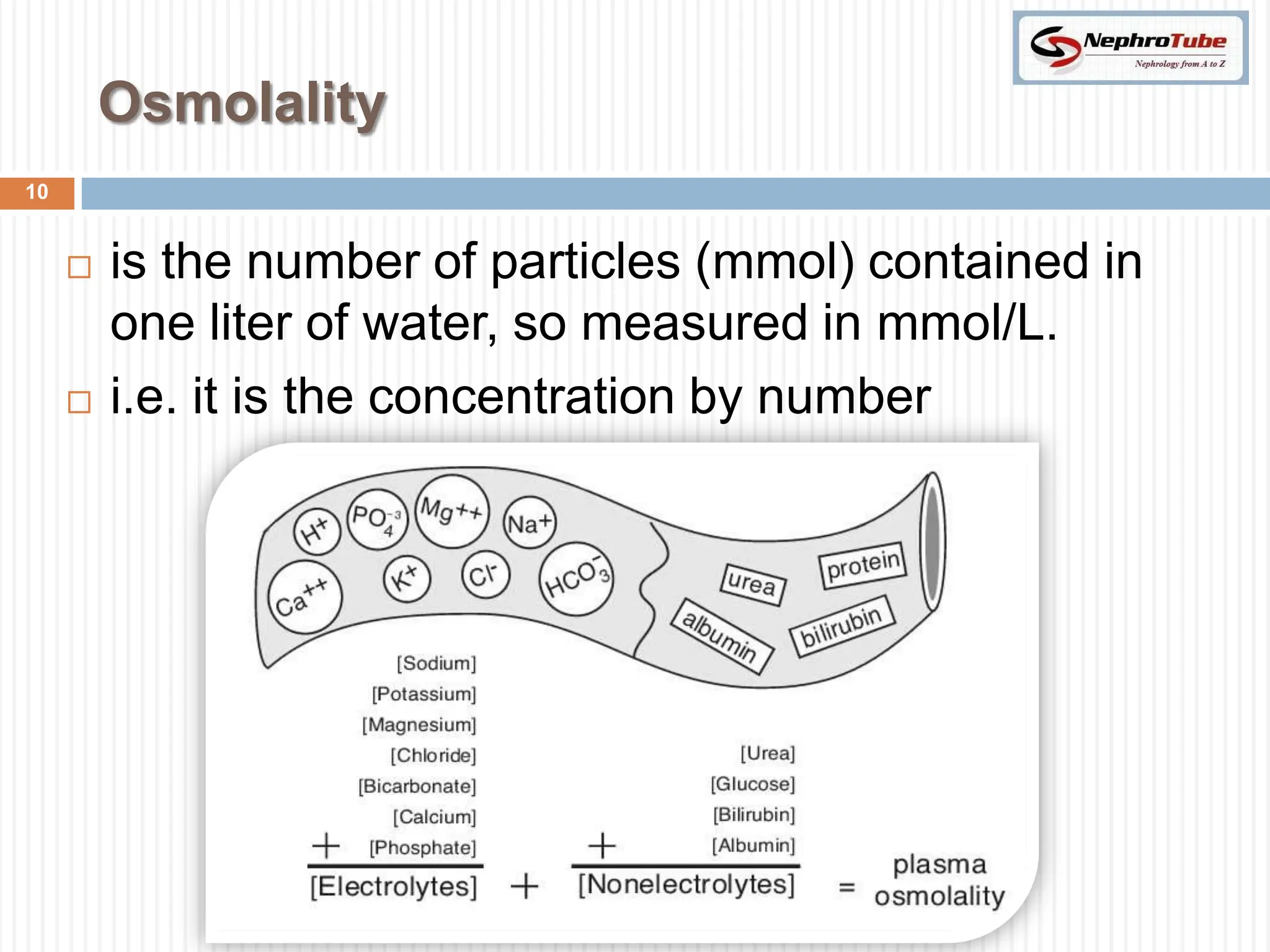 Renal Physiology (IV) - Osmoregulation(Urine Dilution & Concentration ...