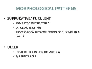 4.outcomes and morphology dr ashutosh kumar | PDF