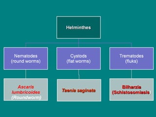 4-Parasites des helminthiases et diagnostic.ppt