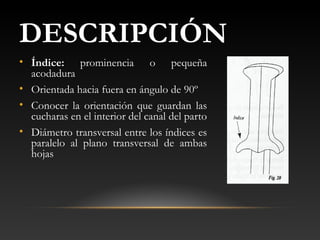 Parto con Forceps | PPT