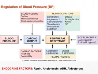 CVS pathology -4 Hypertension (HTN) 2019, sufia husain | PPT