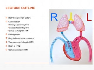 CVS pathology -4 Hypertension (HTN) 2019, sufia husain | PPT