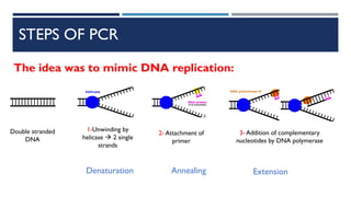 4-PCR principles.pdf