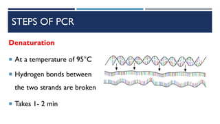 4-PCR principles.pdf