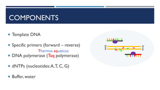 4-PCR principles.pdf