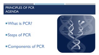 4-PCR principles.pdf