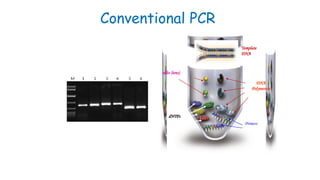 4- pcr types.pptxMolecular geatics PCR Types Basic scince | PPTX