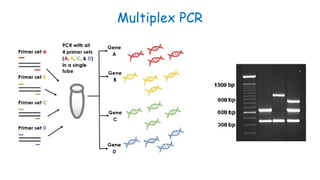 4- pcr types.pptxMolecular geatics PCR Types Basic scince | PPTX