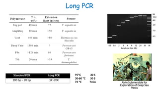 4- pcr types.pptxMolecular geatics PCR Types Basic scince | PPTX