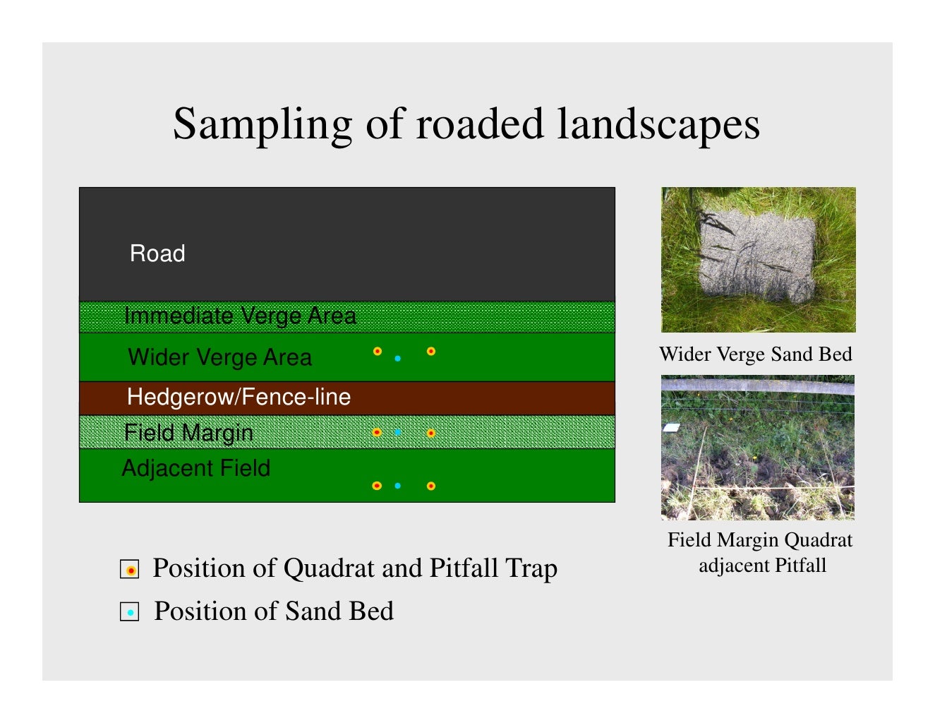 Impacts of road landscape treatments on biodiversity within road corr…