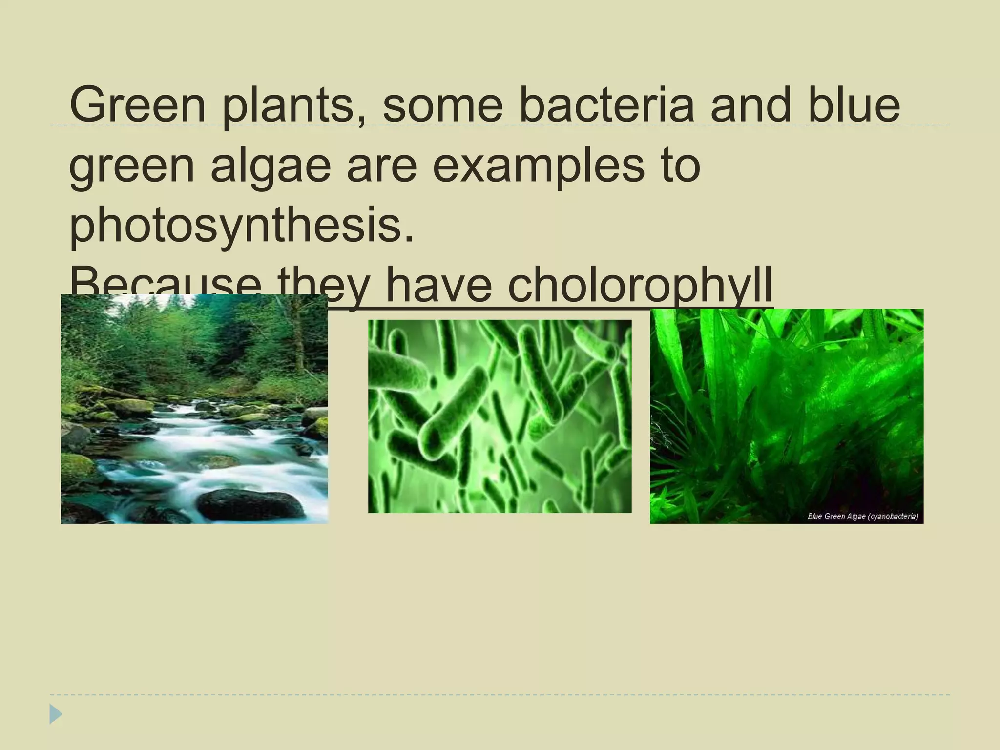 photosynthesis and chemosynthesis | PPTX